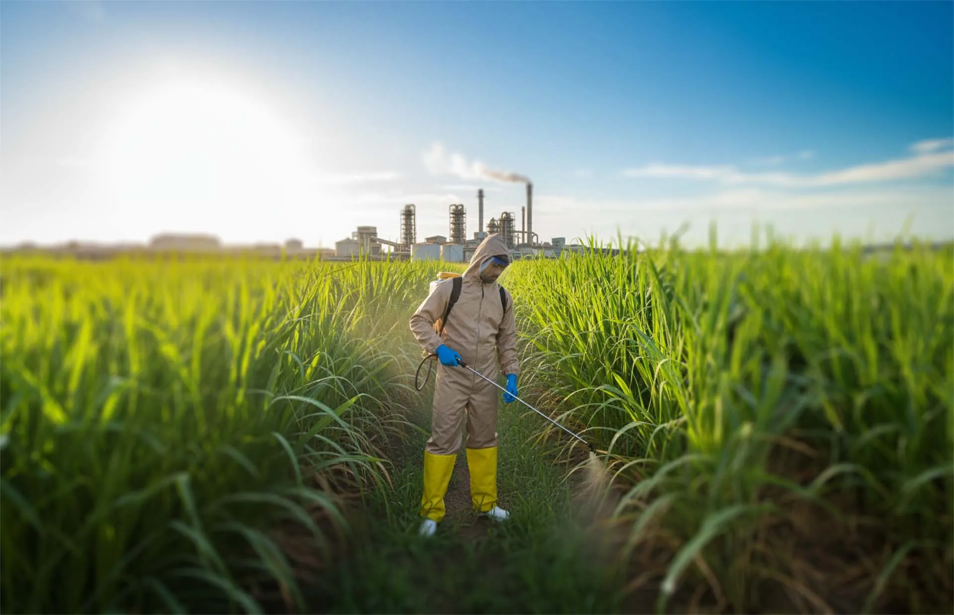 Agronegócio | Reptec Equipamentos de Segurança e Uniformes
